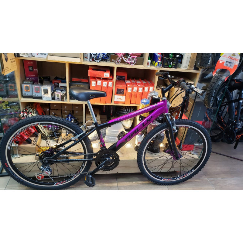 Bicicleta Rally 26 Acero Aro Doble Pared